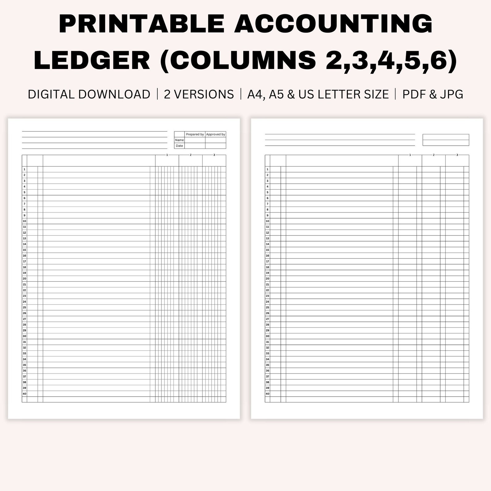 Printable Blank Accounting Ledger, Money Ledger, Bookkeeping, General ...