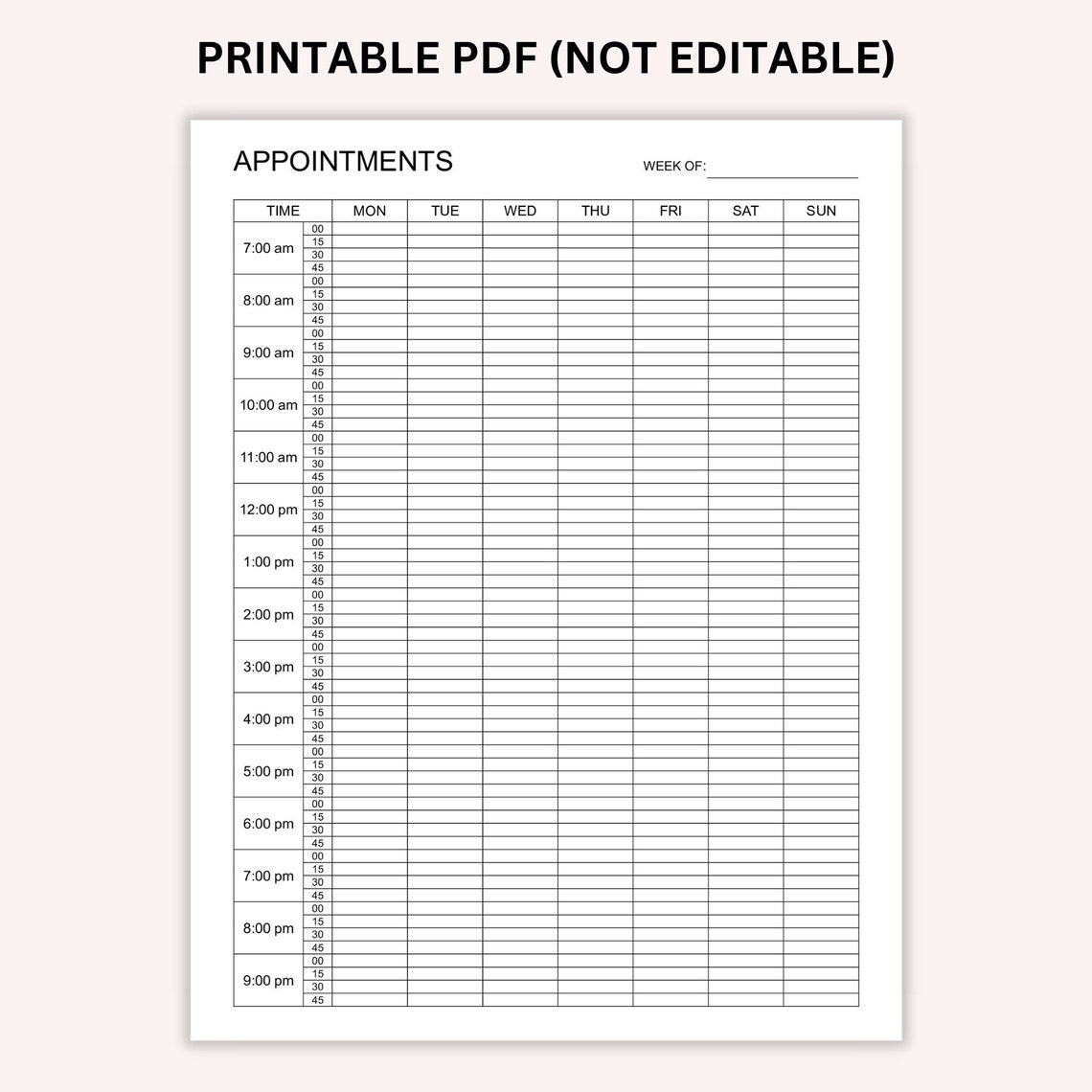 Editable Appointment Tracker, Printable 15 Minute Interval Appointment ...