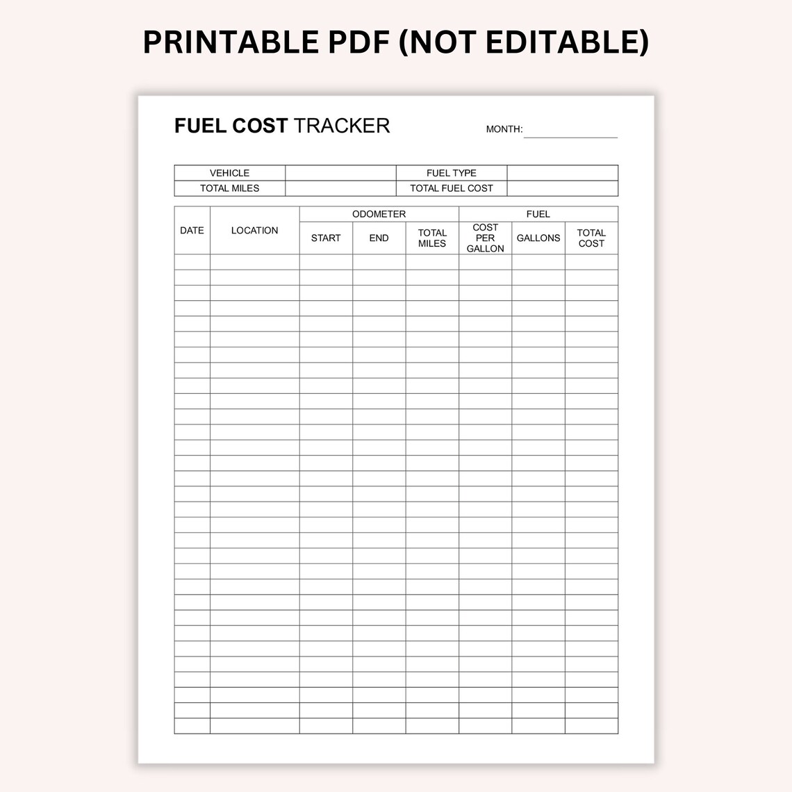 Editable Fuel Cost Tracker, Printable Gas Price Log, Fuel Expense ...