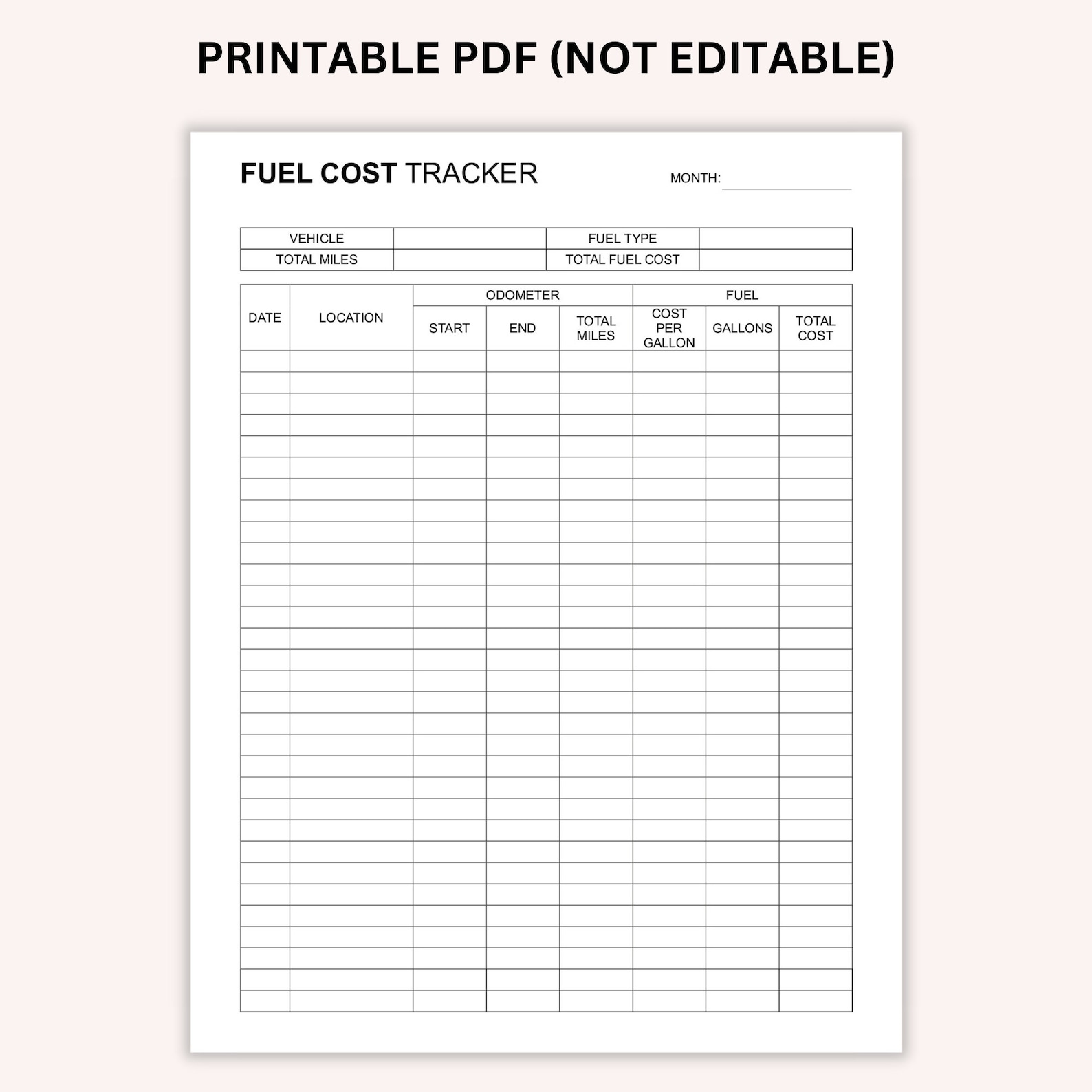 Editable Fuel Cost Tracker, Printable Gas Price Log, Fuel Expense ...