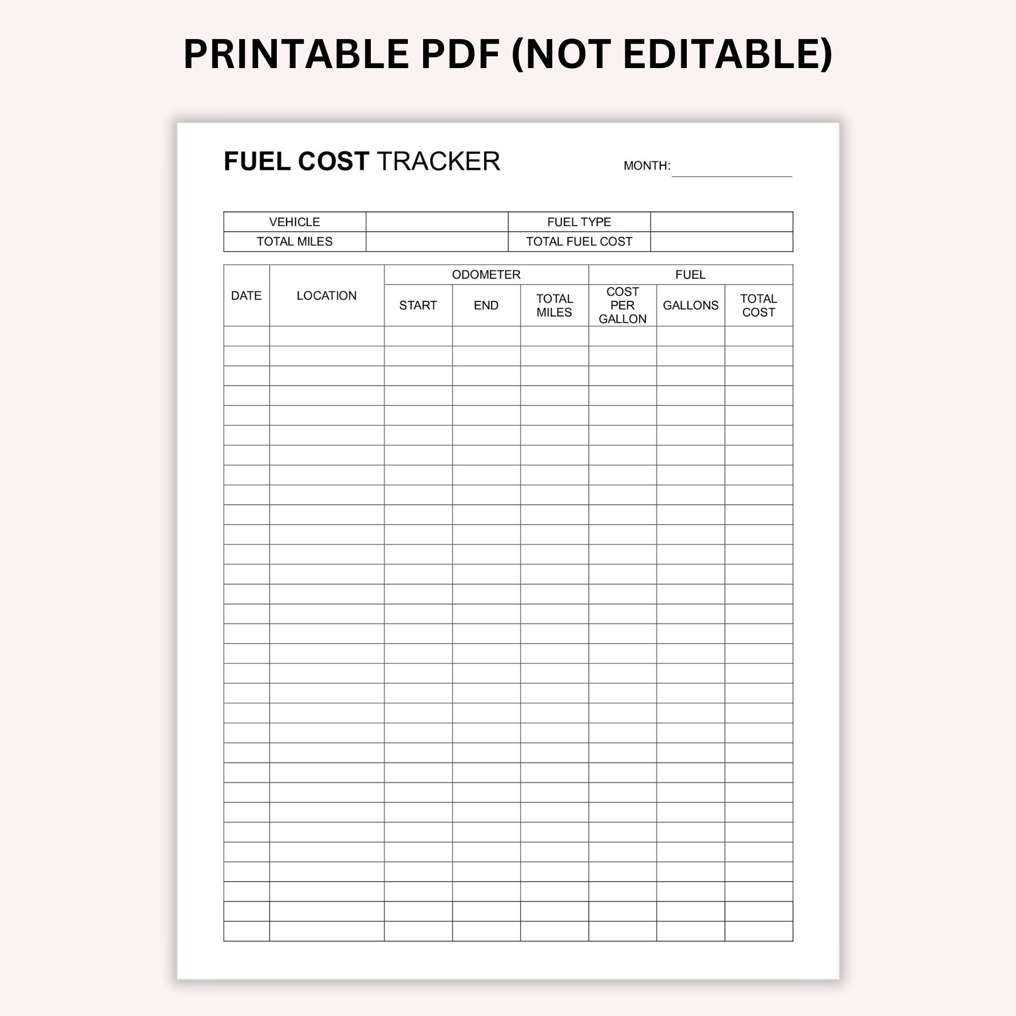 Editable Fuel Cost Tracker, Printable Gas Price Log, Fuel Expense ...