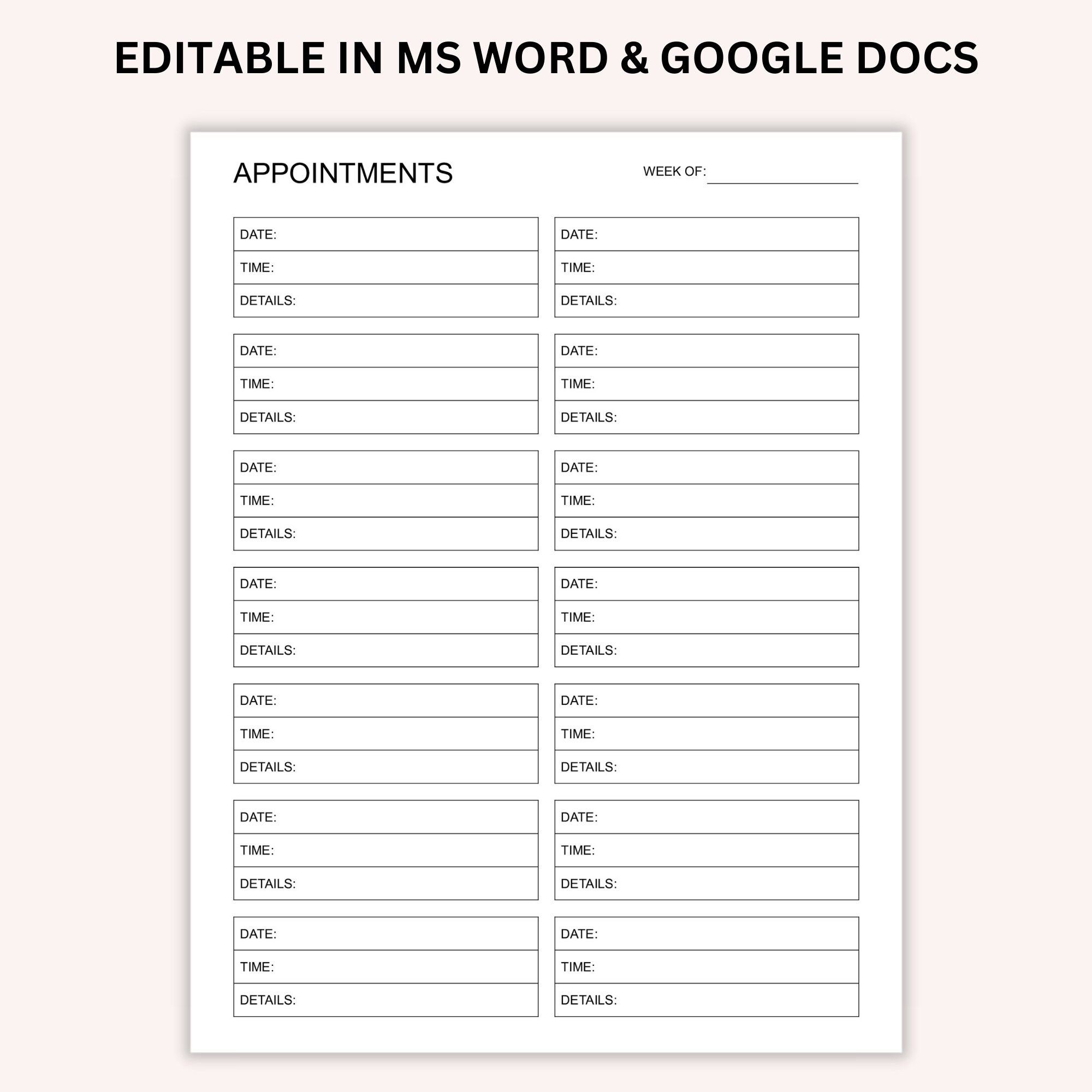 Editable Appointment Tracker, Printable Appointment Schedule, Client ...