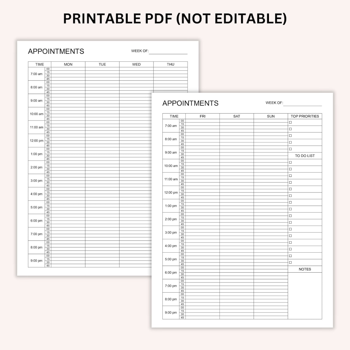 Editable Appointment Tracker, Printable 15 Minute Interval Appointment ...