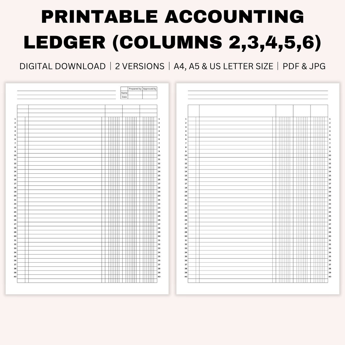 Printable Blank Accounting Ledger, Log for Credits and Debits ...