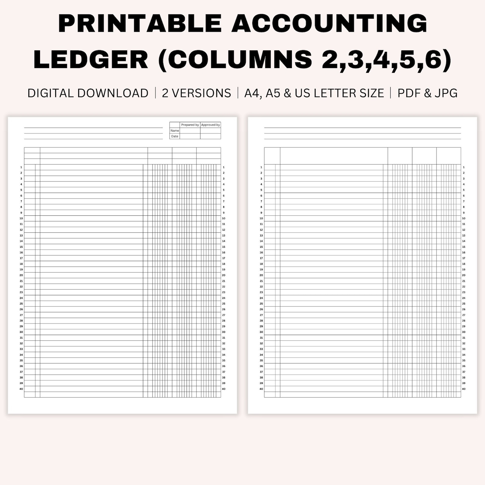 Printable Blank Accounting Ledger, Log for Credits and Debits ...