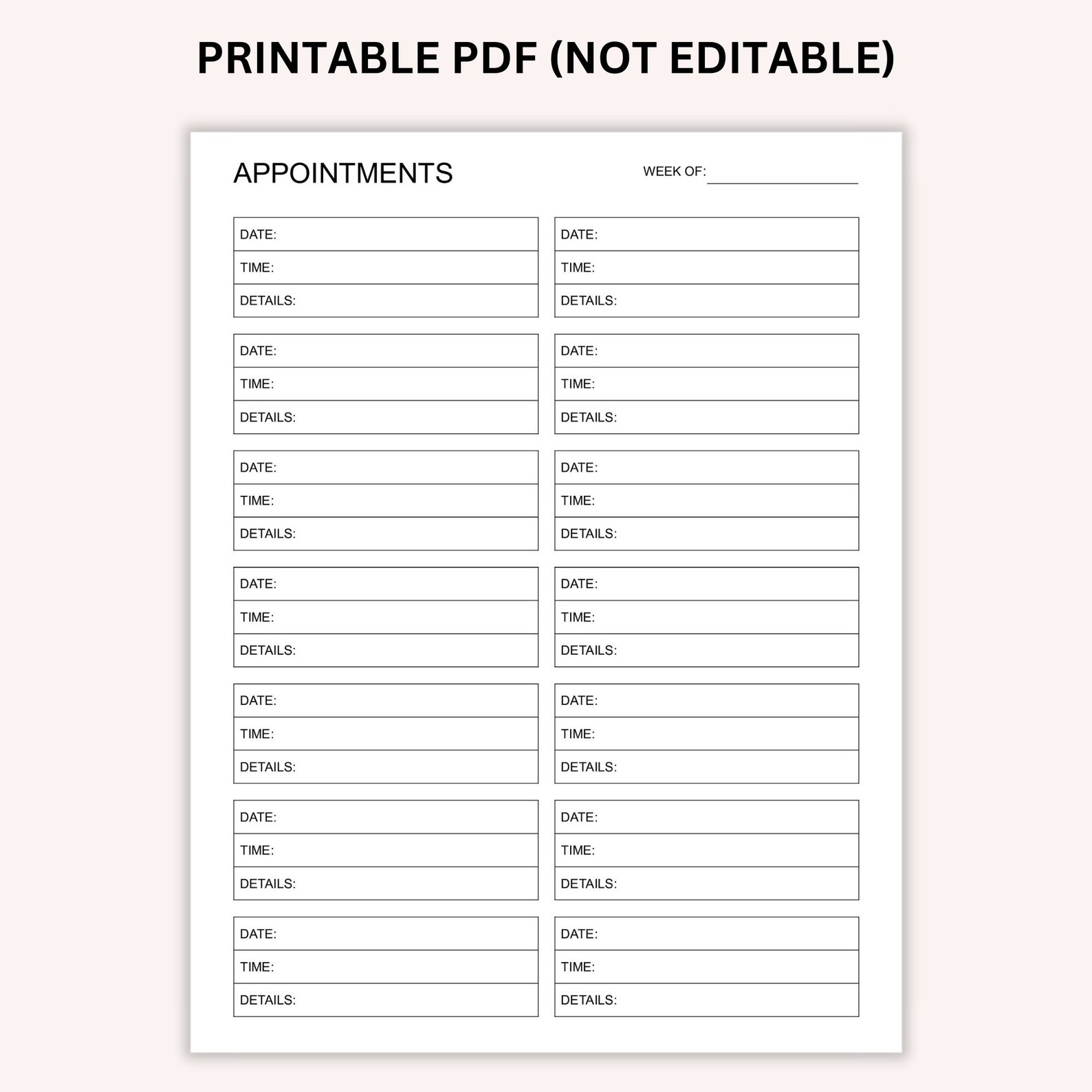 Editable Appointment Tracker, Printable Appointment Schedule, Client ...