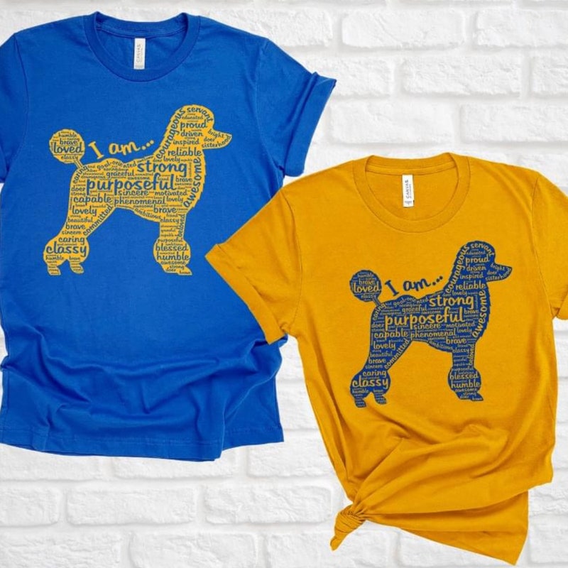 Sigma Gamma Rho Shirts - Etsy