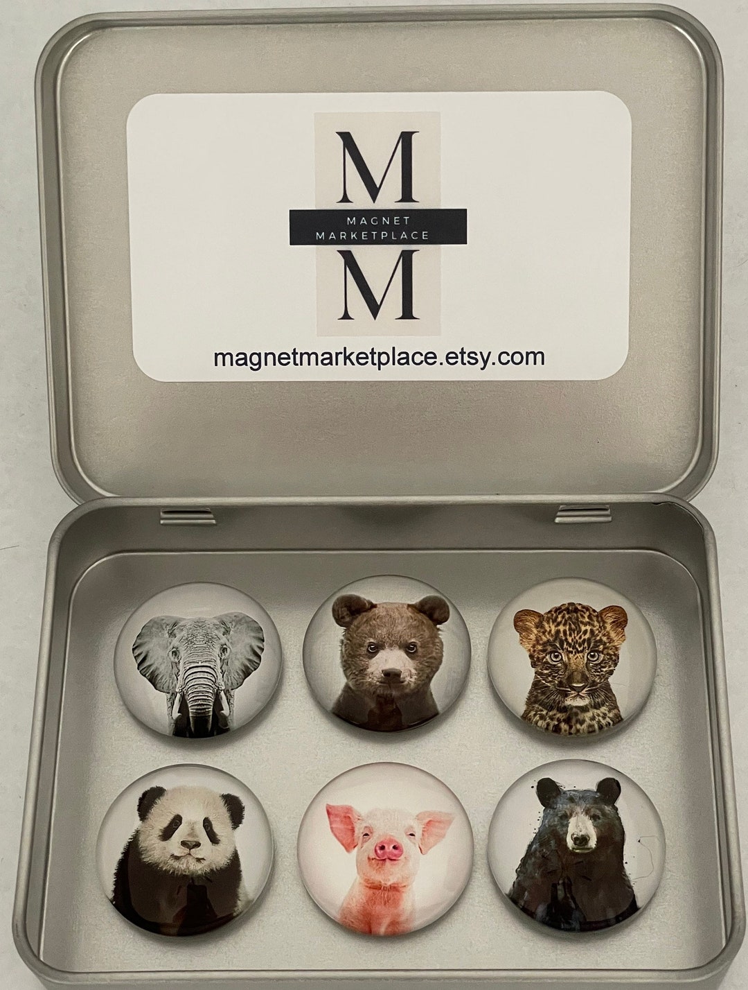 Zoo Animals Magnets | Zoo Animal Art | Zoo Babies | Zoo Lover Gift ...