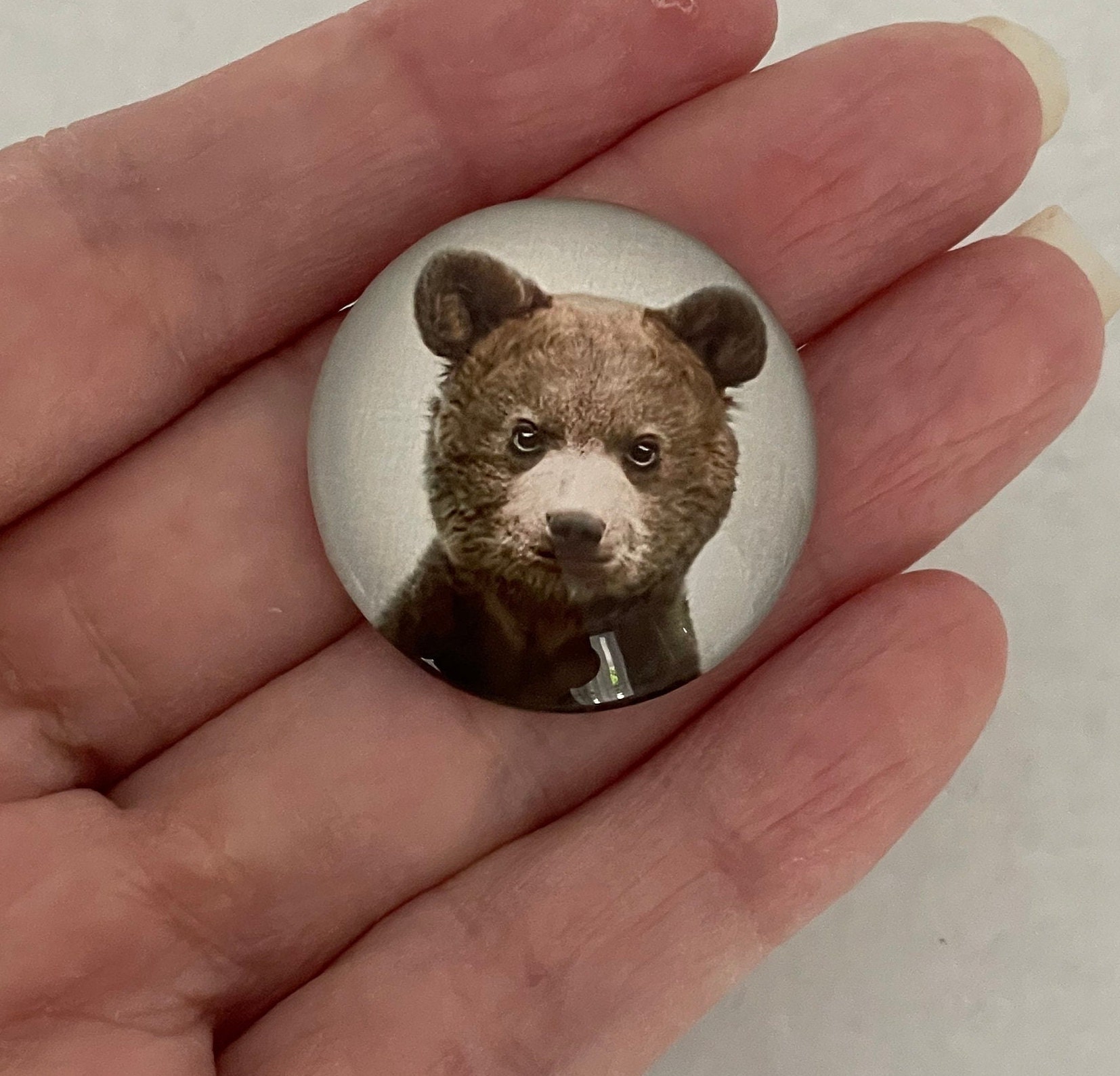 Zoo Animals Magnets Zoo Animal Art Zoo Babies Zoo Lover - Etsy