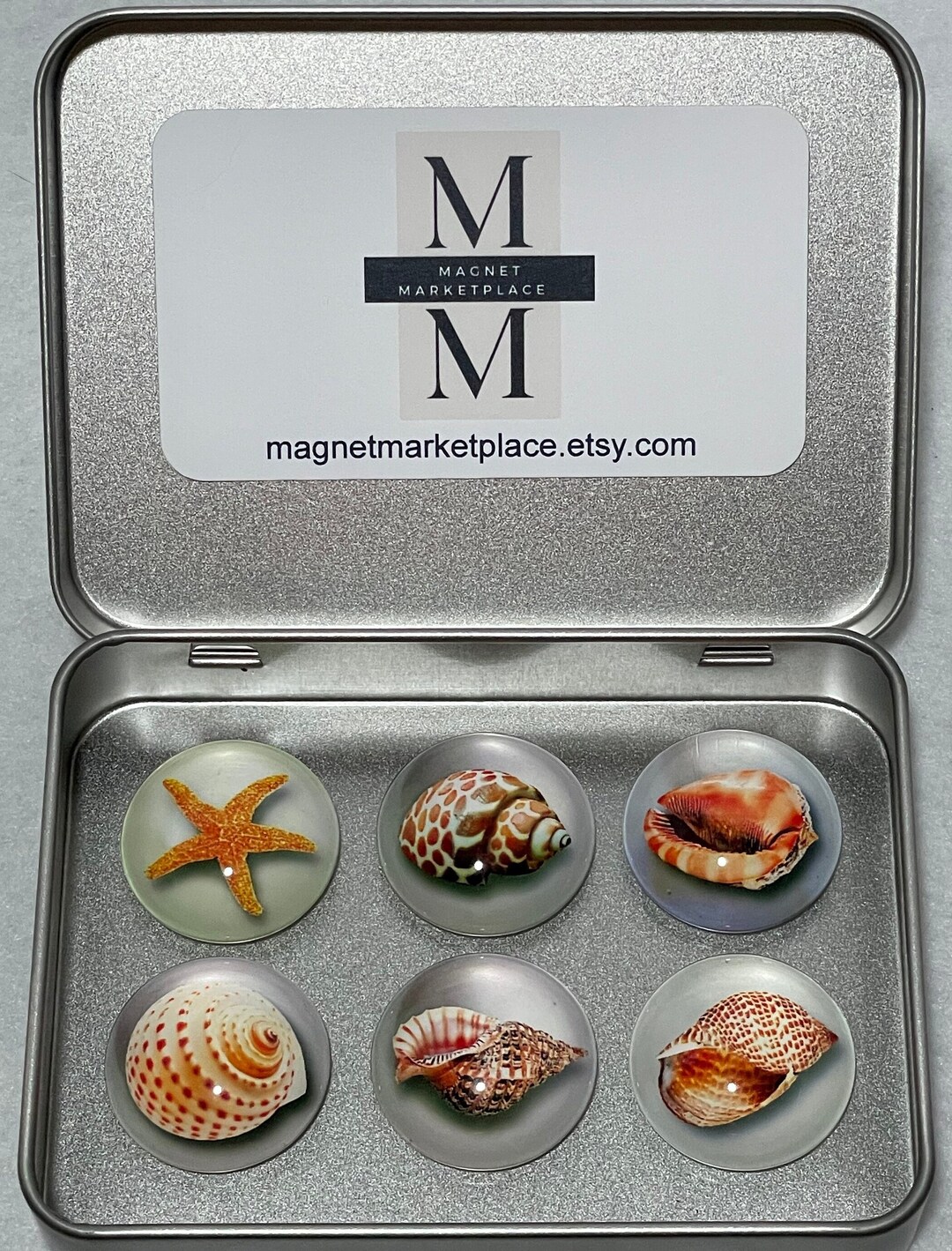 Sea Shell Magnet | Sea Shell Decor | Sea Shell Art | Vacation Home Gift ...