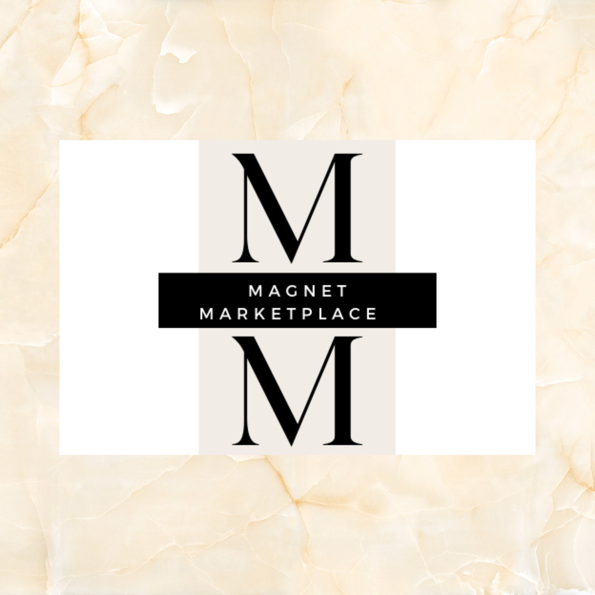 Sea Shell Magnet Sea Shell Decor Sea Shell Art Vacation - Etsy