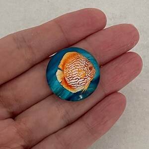 Fish Magnets | Tropical Fish Magnets | Saltwater Fish Magnets | Fish ...