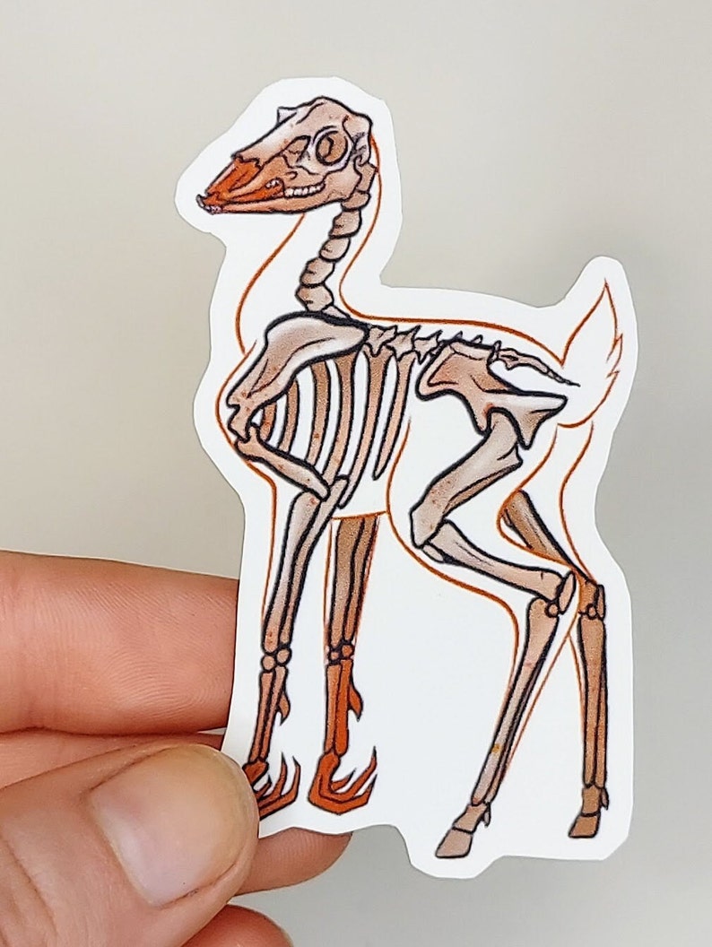 Wendigo Sticker Deer Skeleton Sticker Deer Sticker - Etsy