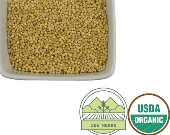 Finger Millet aka Tamba - Etsy