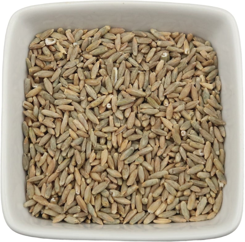 Organic Rye Berries, Whole Wheat Grain (secale Cereale L.) - Etsy