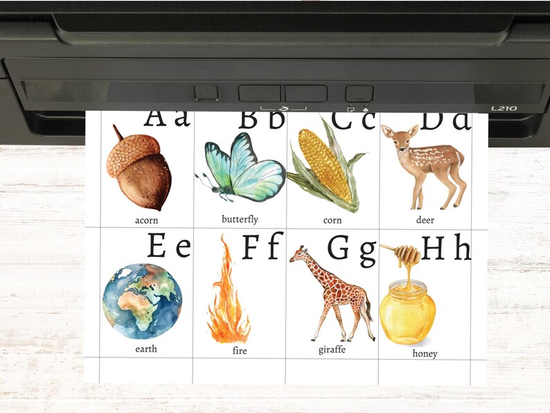 Abcs Flashcards With Nature Images | Learn Your Abcs Digital Download ...