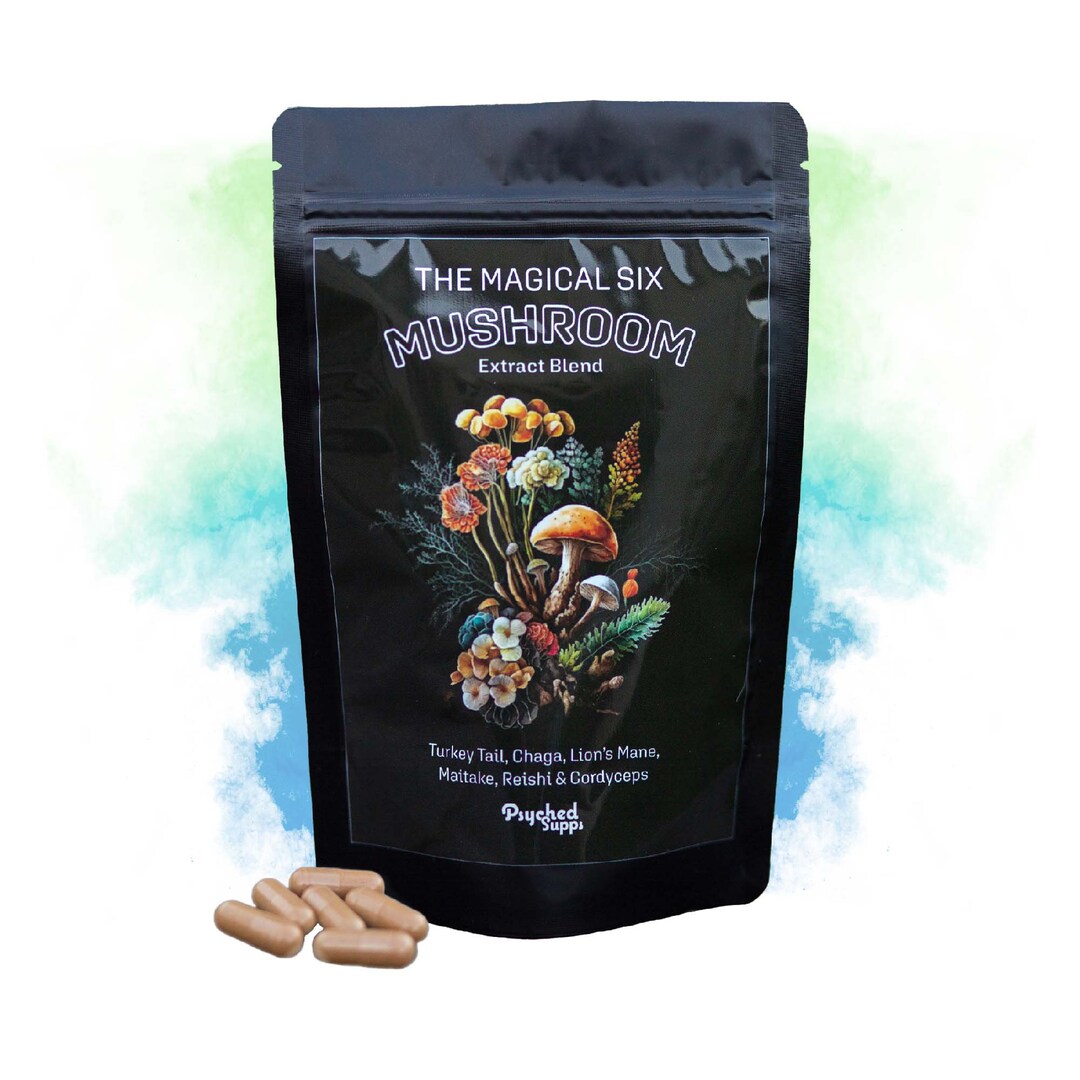 Organic 6 Mushroom Extract Blend 90 Capsules Lion's Mane Reishi ...