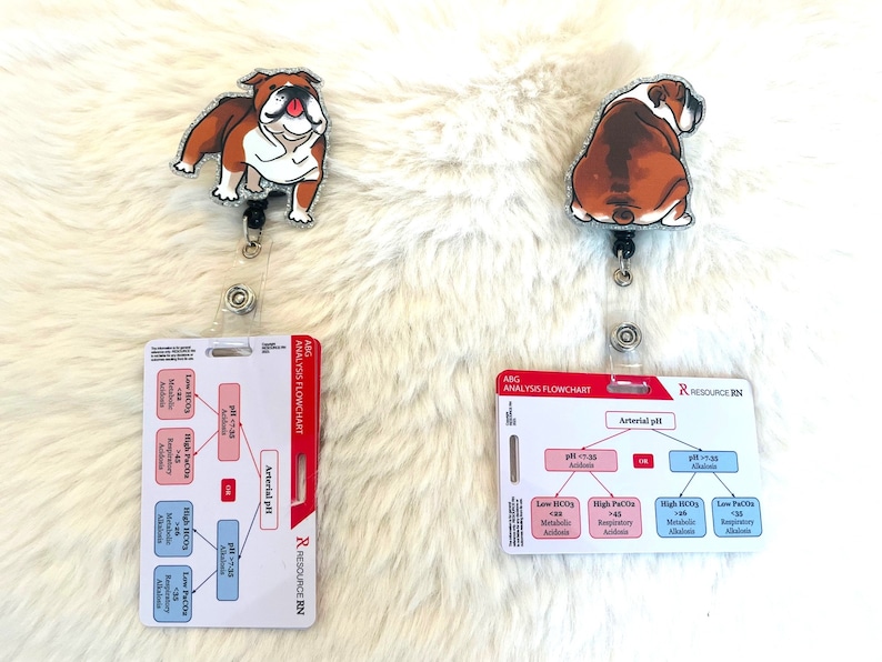 Arterial Blood Gas ABG Horizontal and Vertical Badge Card Pocket Guide ...