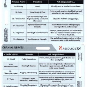 Cranial Nerves & Glasgow Coma Scale Badge Card: Neurological Assessment ...