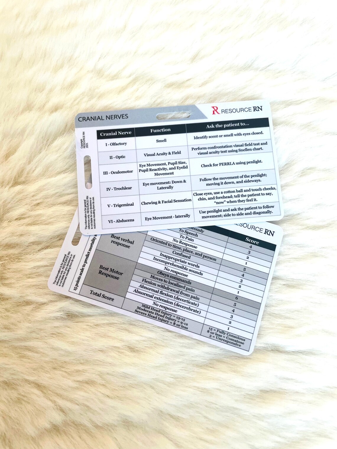 Cranial Nerves & Glasgow Coma Scale Badge Card: Neurological Assessment ...