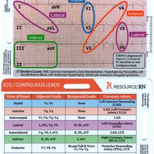 Horizontal and Vertical - Cardiac Set Complete (rapid Measurement Tools ...