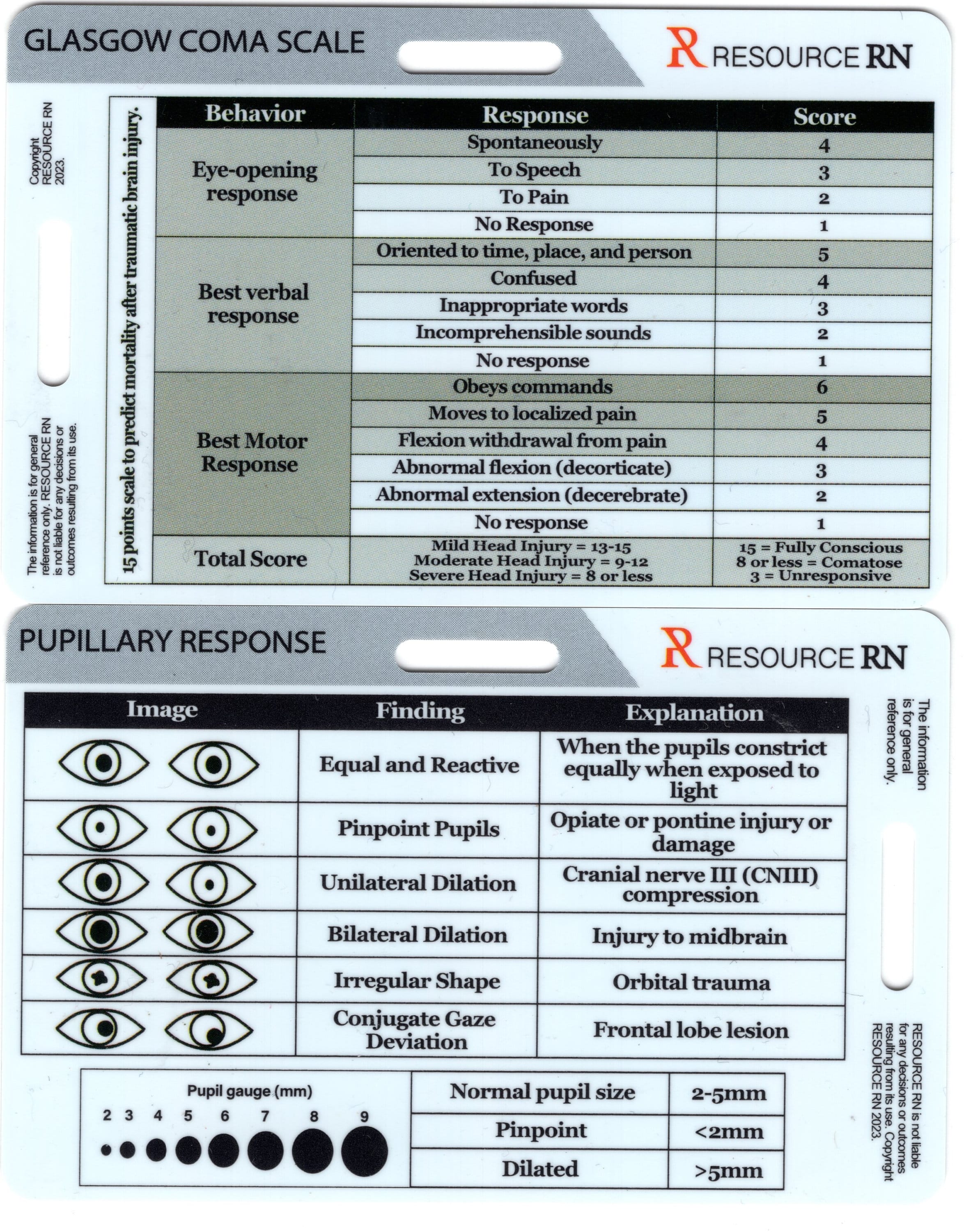 Cranial Nerves & Glasgow Coma Scale Badge Card: Neurological Assessment ...