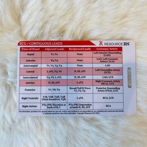 EKG STEMI Reference Tool VERTICAL Badge Card Pocket Guide - Etsy