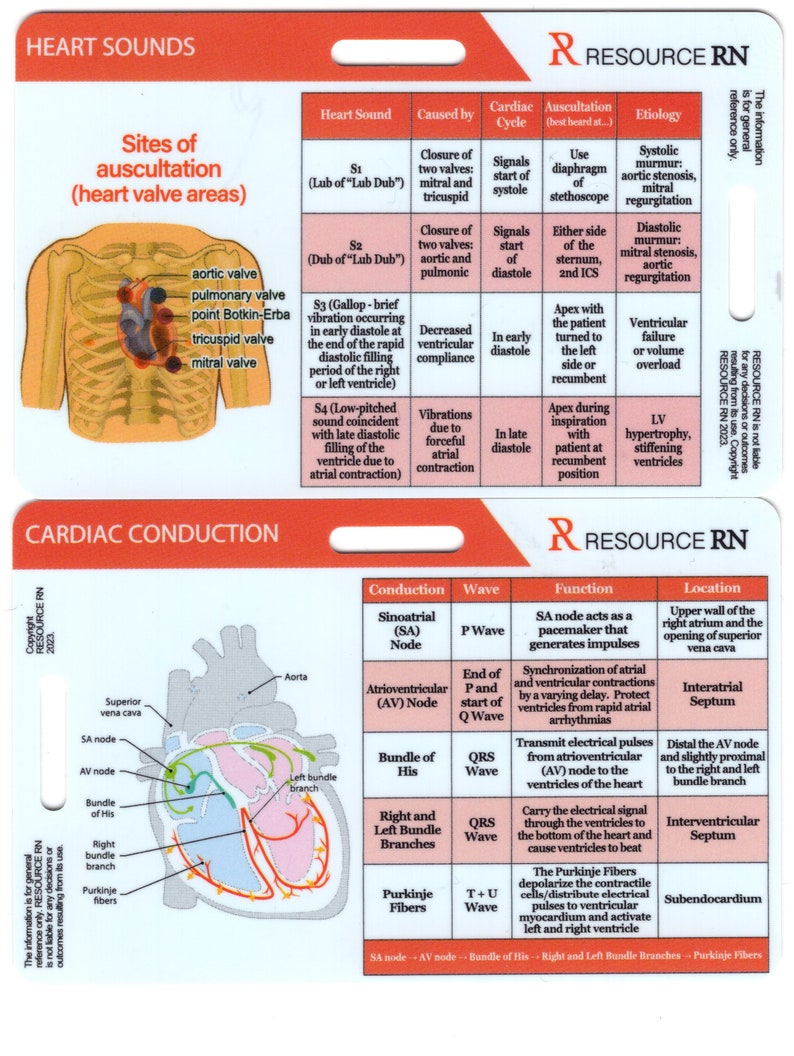 Cardiac Nursing Badge Card Set: ECG Interpretation, Heart Sounds - Etsy