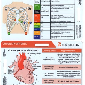 Cardiac Nursing Badge Card Set: ECG Interpretation, Heart Sounds - Etsy