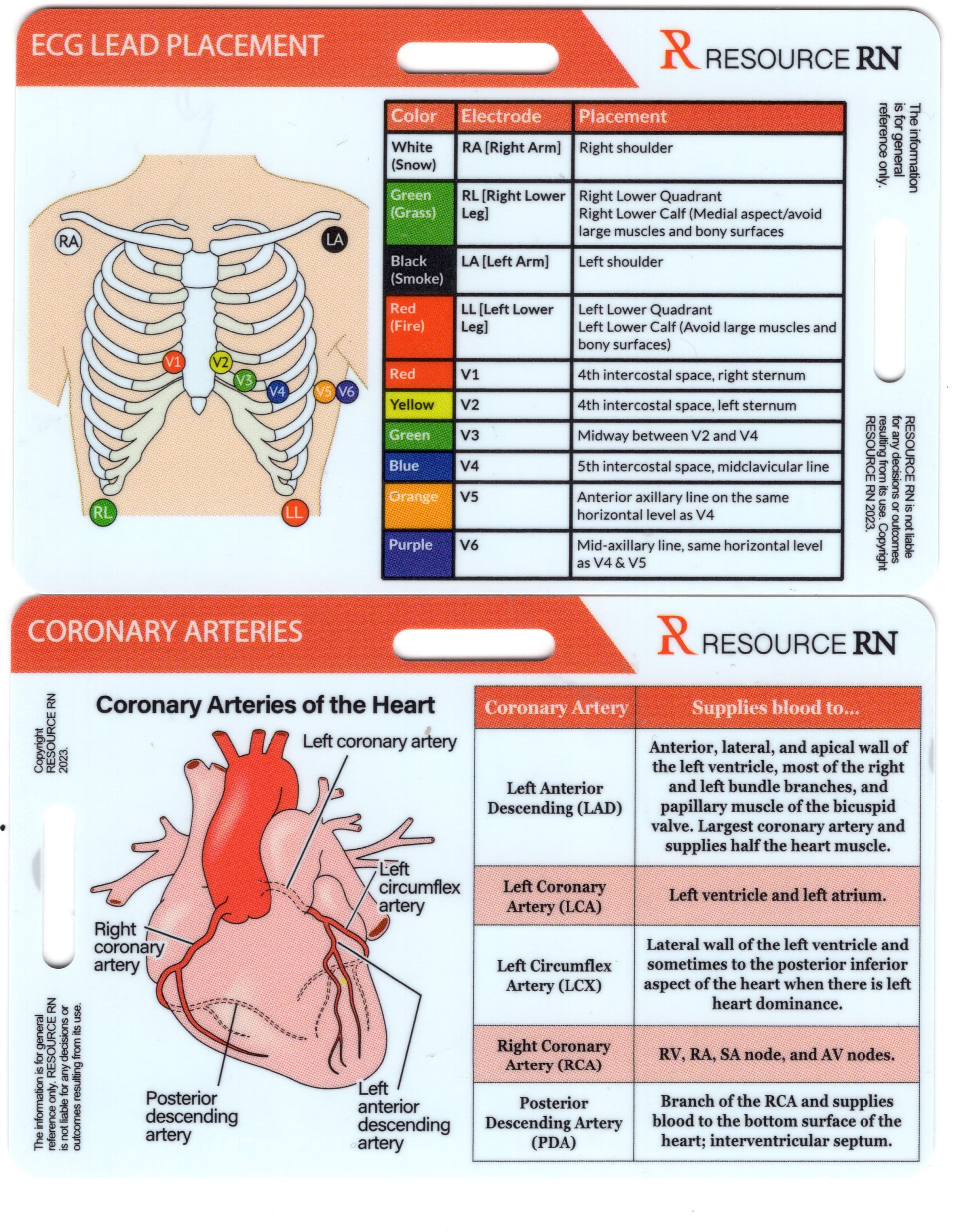 Cardiac Nursing Badge Card Set: ECG Interpretation, Heart Sounds - Etsy
