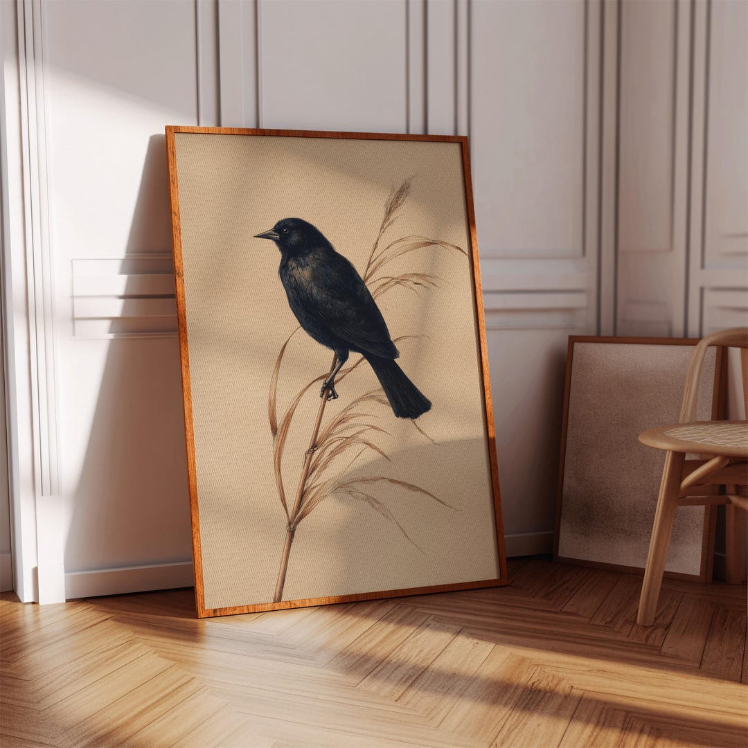 Vintage Blackbird on Reed Botanical Illustration - Etsy