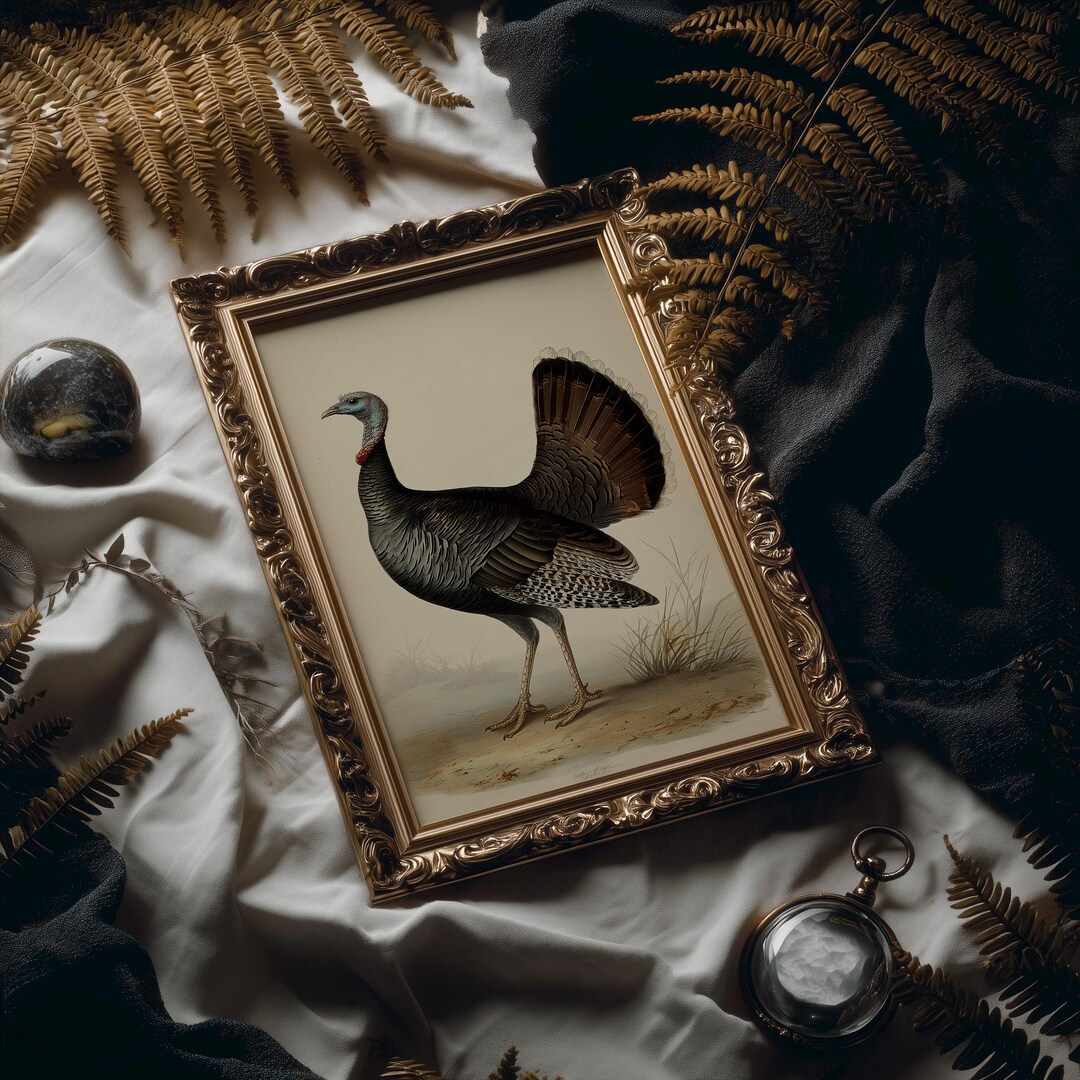Vintage Wild Turkey Illustration With Fanned Tail - Etsy