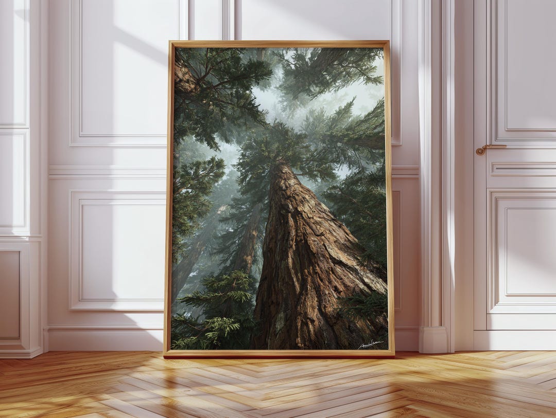 Majestic Redwood Forest Canvas Wall Art | Towering Trees in Misty ...