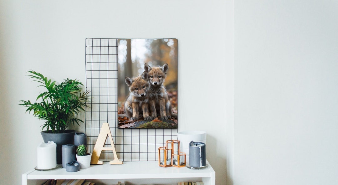 Wolf Pups Canvas Wall Art Print, Home or Office Decor Gift for Him or ...