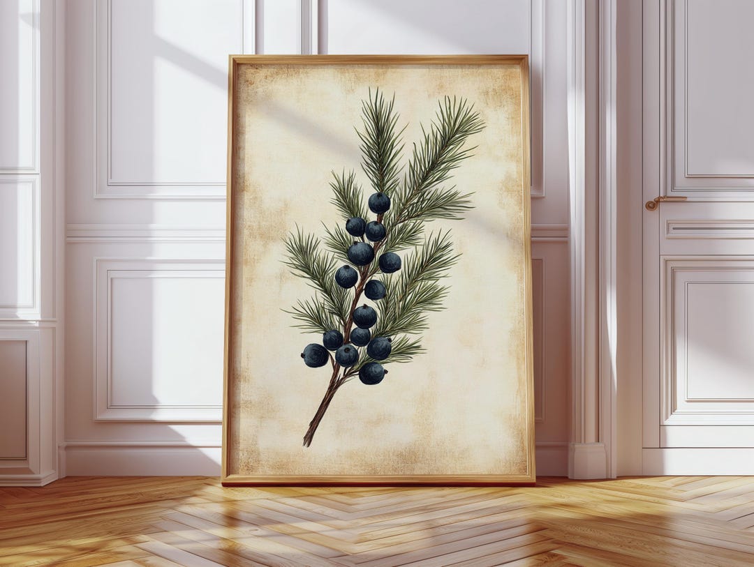 Juniper Botanical Canvas Art | Vintage-style Pine Branch With Berries ...