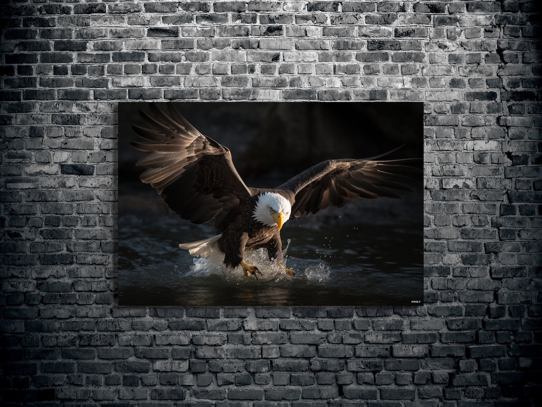 Eagle Grabbing Fish Painting Style Canvas Wall Art, Soaring Eagle ...