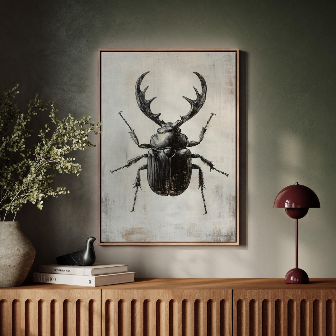 Vintage Stag Beetle Illustration on Distressed Background - Entomology ...