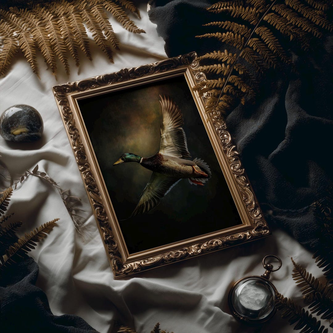 Mallard Duck in Flight Over Dark Rustic Sky - Etsy