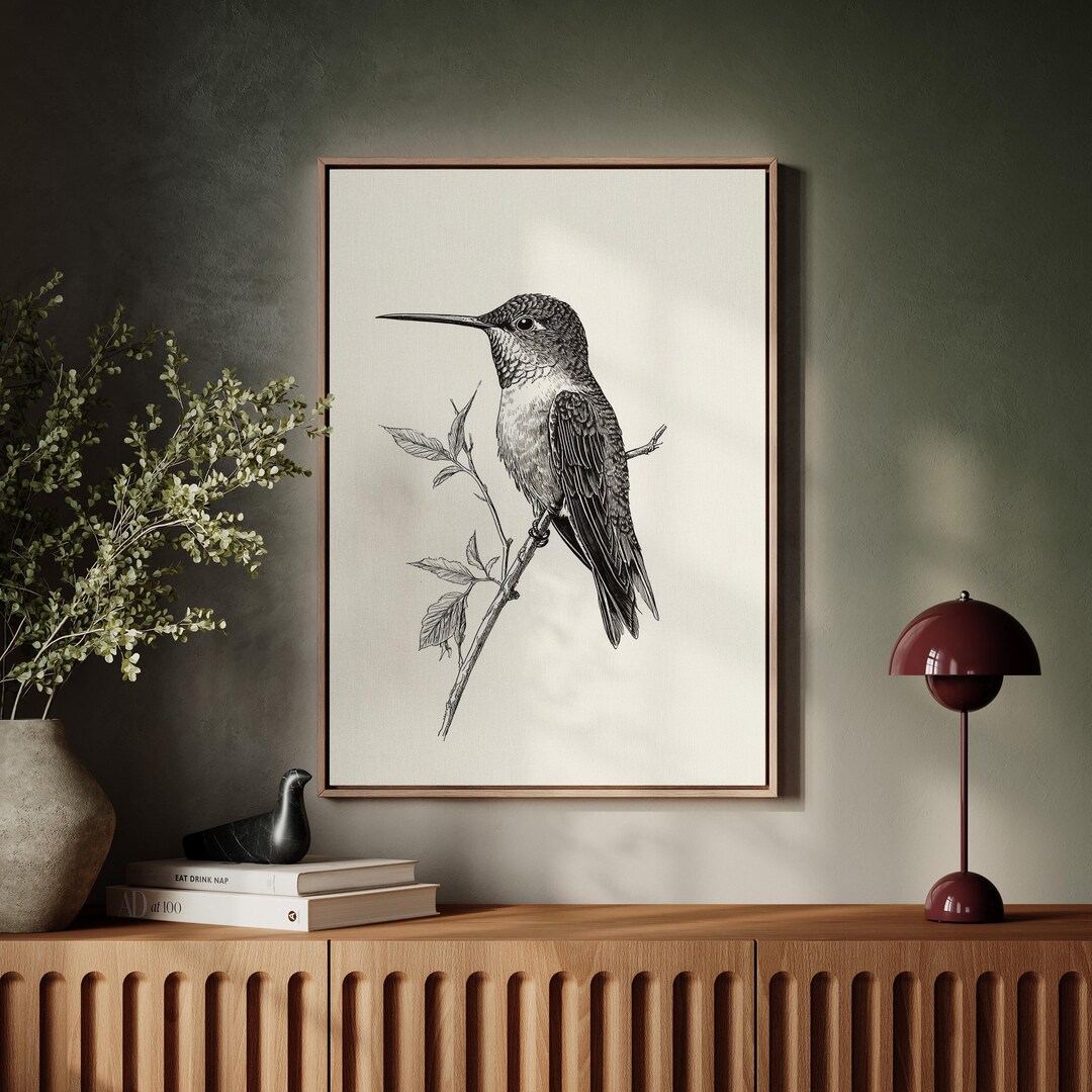 Vintage Hummingbird Pen Sketch Canvas – Minimalist Bird Line Art ...