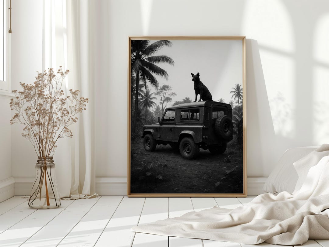Dog on Defender Roof in Jungle – Black and White Off-road Adventure ...