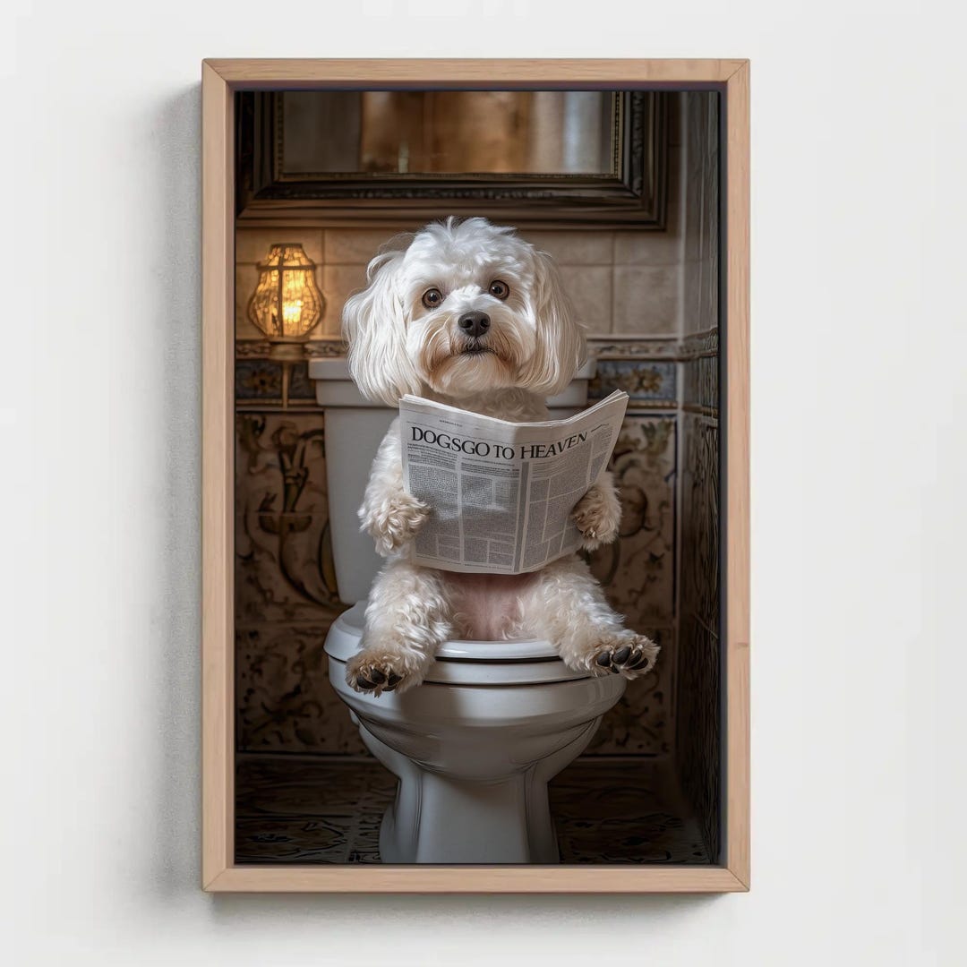 Maltese Poodle Dog on Toilet Reading Newspaper Canvas Print - Funny ...