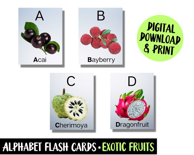 Alphabet Flash Cards Learn ABC Exotic Fruits Flashcards - Etsy