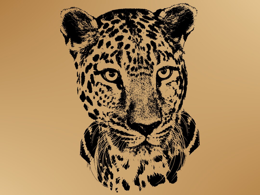 Leopard Face PNG High Resolution High Detail. Transparent Background ...