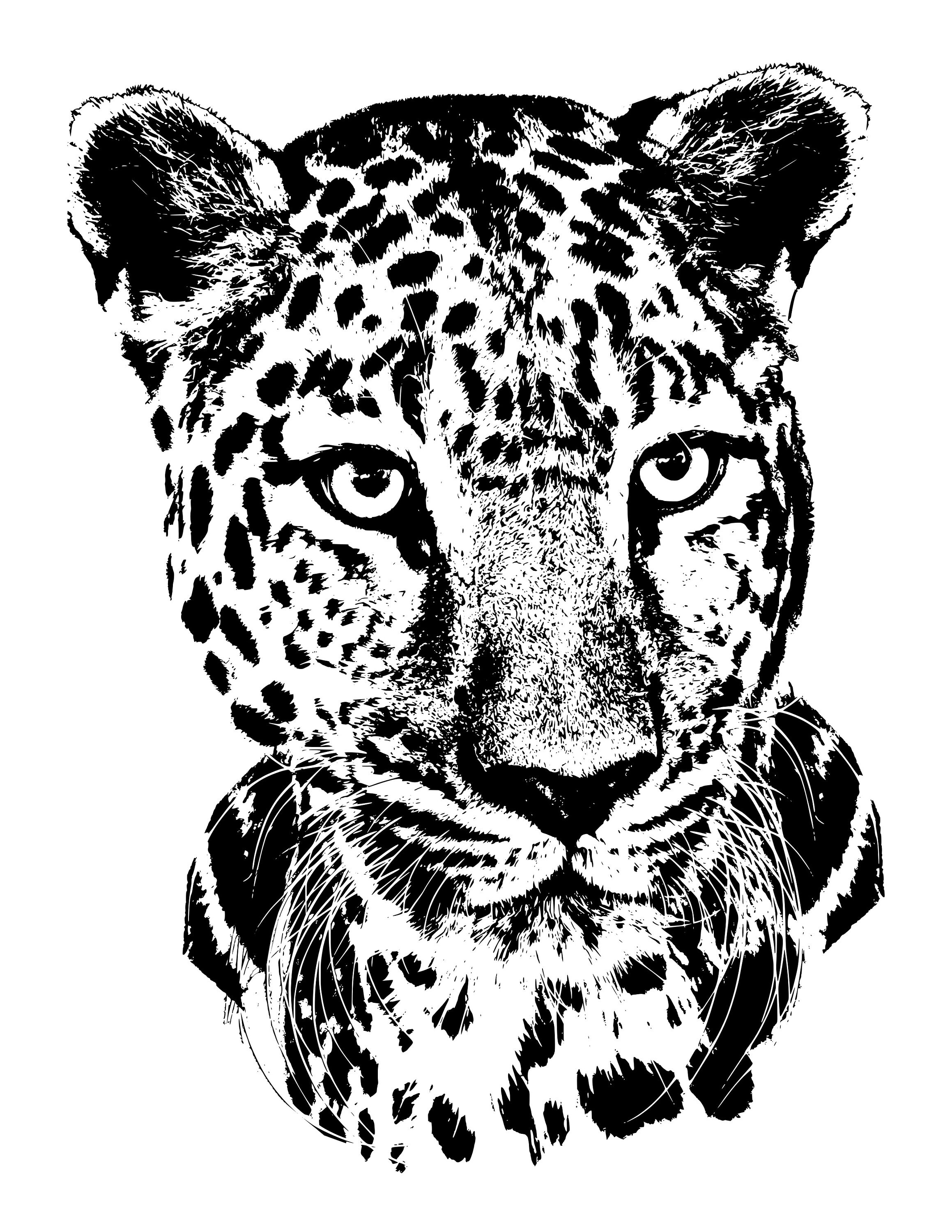 Leopard Face PNG High Resolution High Detail. Transparent Background ...