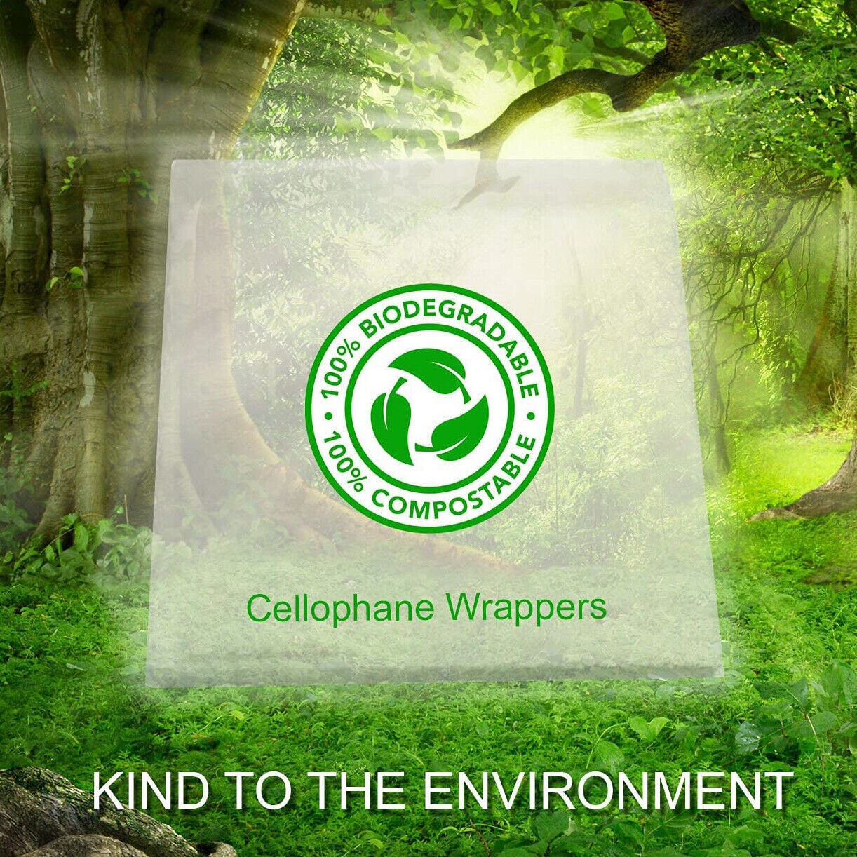 August Birthday Card for Men August Kings 147 X 147mm - Etsy