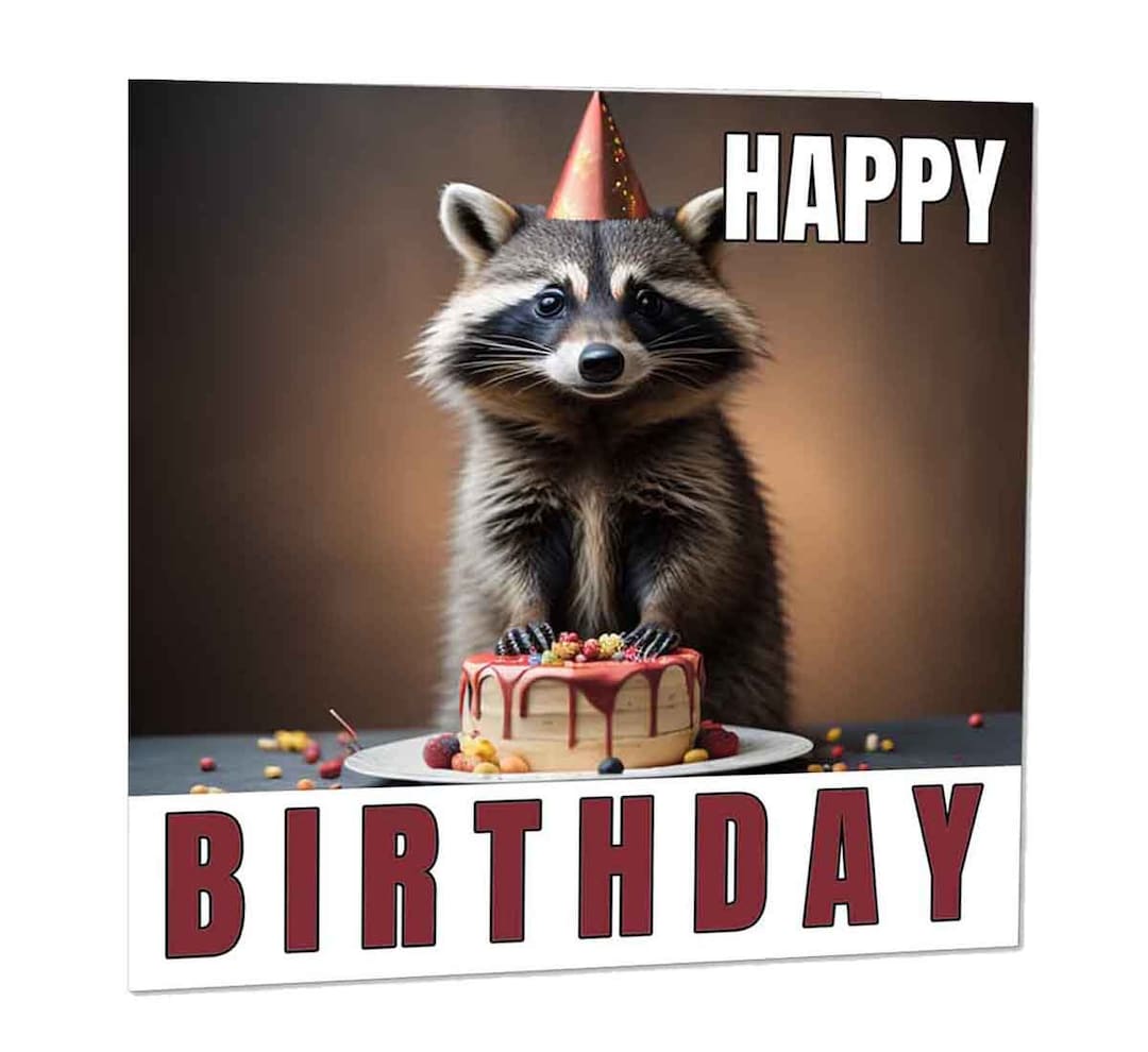Raccoon Birthday Card Cute Raccoon Happy Birthday Card & Envelope 145 X ...