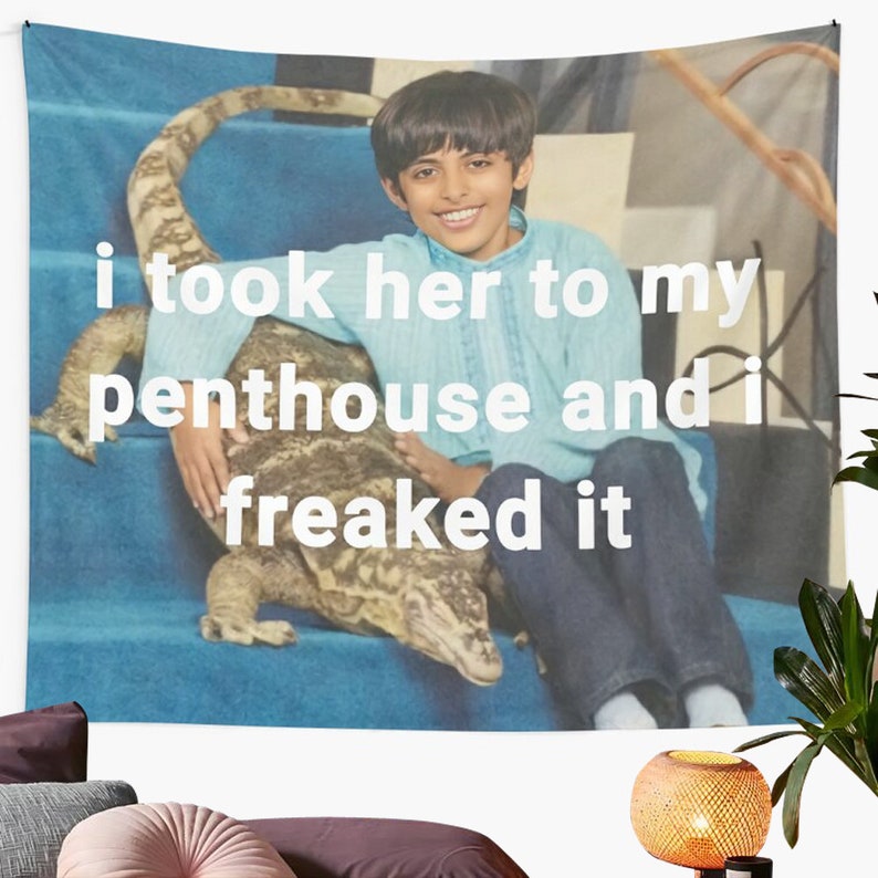 I Took Her to My Penthouse Ravi Tapestry Ravi Freaked It - Etsy