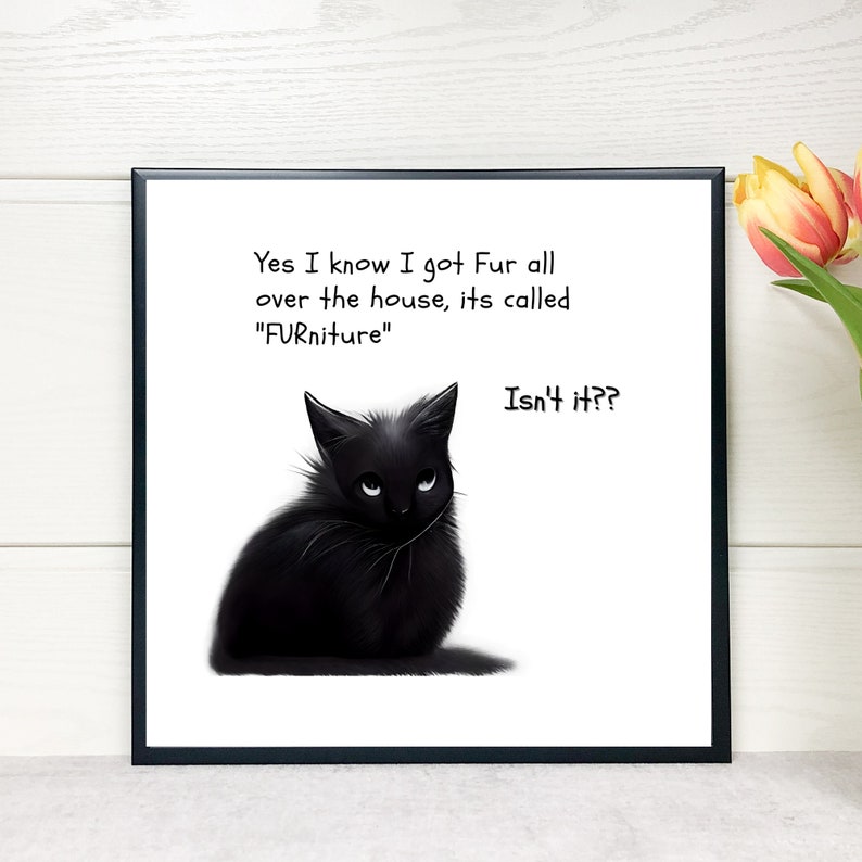SET of 3 Rude Cats Poster Funny Cat Poster Modern Home Decor - Etsy