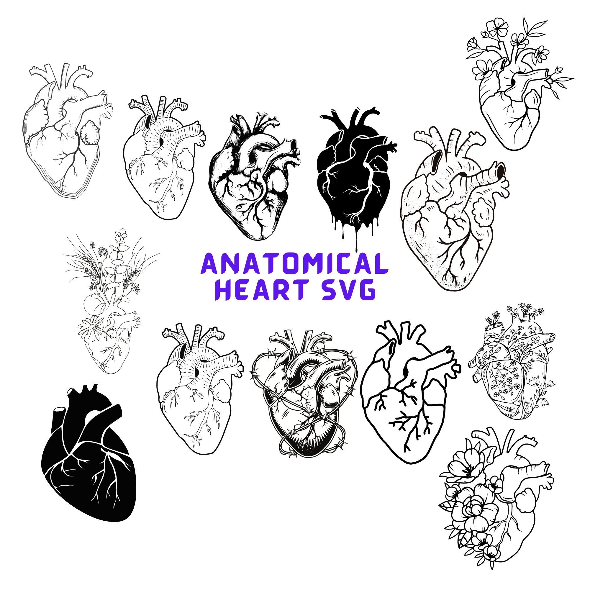 New Svg, Anatomy Svg, Anatomical Heart Svg Bundle, Flower Heart Svg ...