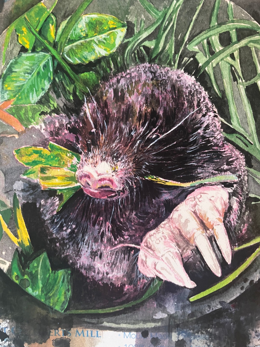 Mole A5 Fine Art Print - Etsy